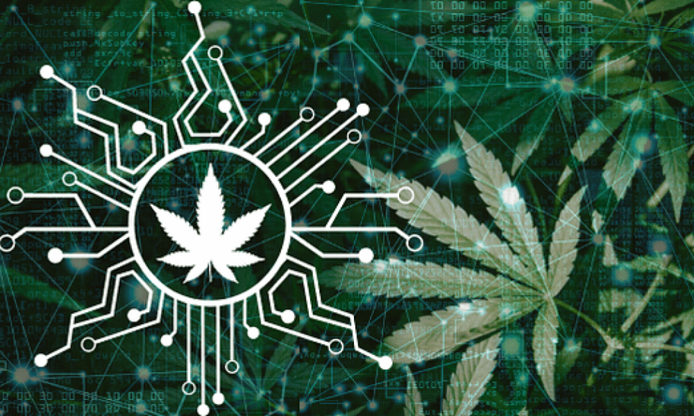 Cloud 9 Wallpaper Weed