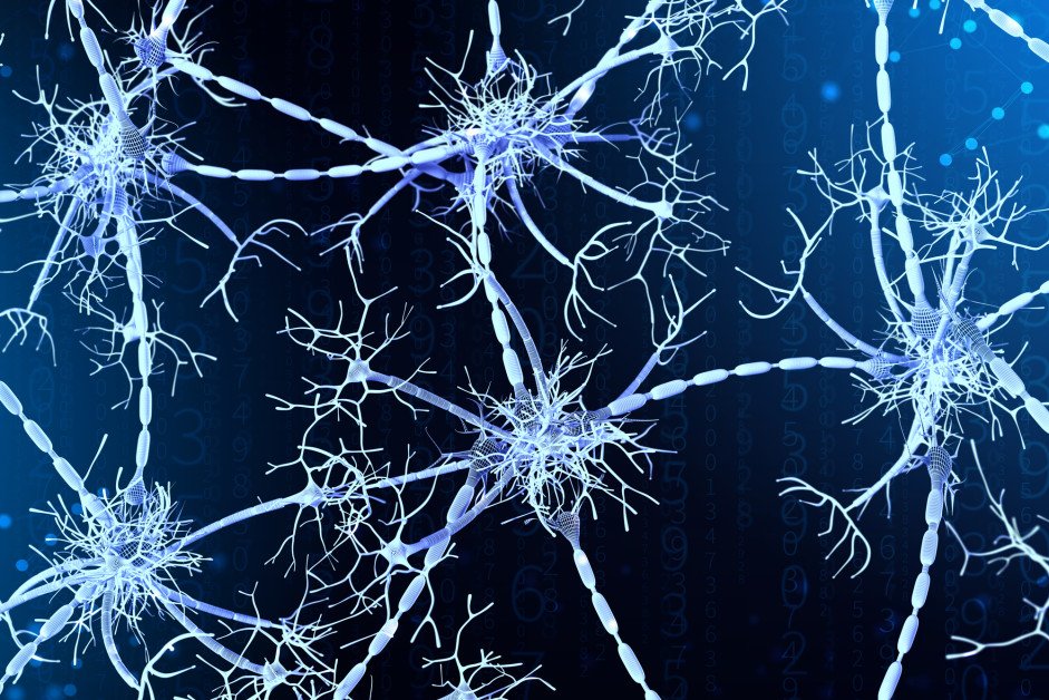 Liquid Neural Networks: Definition, Applications, & Challenges - Unite.AI Liquid Neural Networks: Definition, Applications, & Challenges - Unite.AI